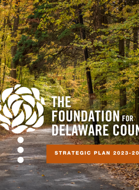 Foundation Strategic Plan - The Foundation for Delaware County