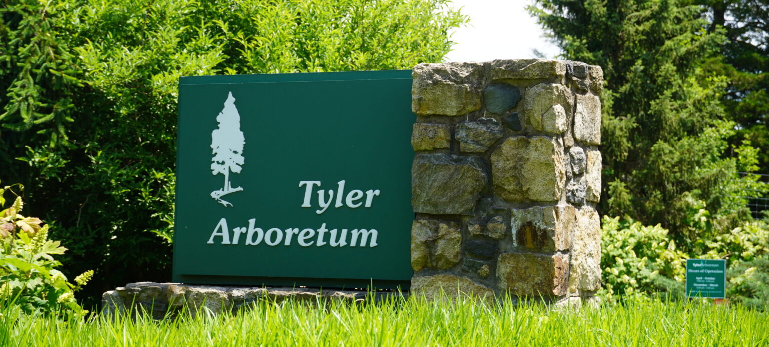 Nonprofit Spotlight: Tyler Arboretum - The Foundation for Delaware County